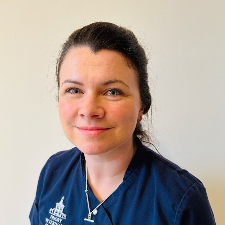 Dr. Amanda Wiltshire, Priory Vets. Reigate and Redhill, Surrey