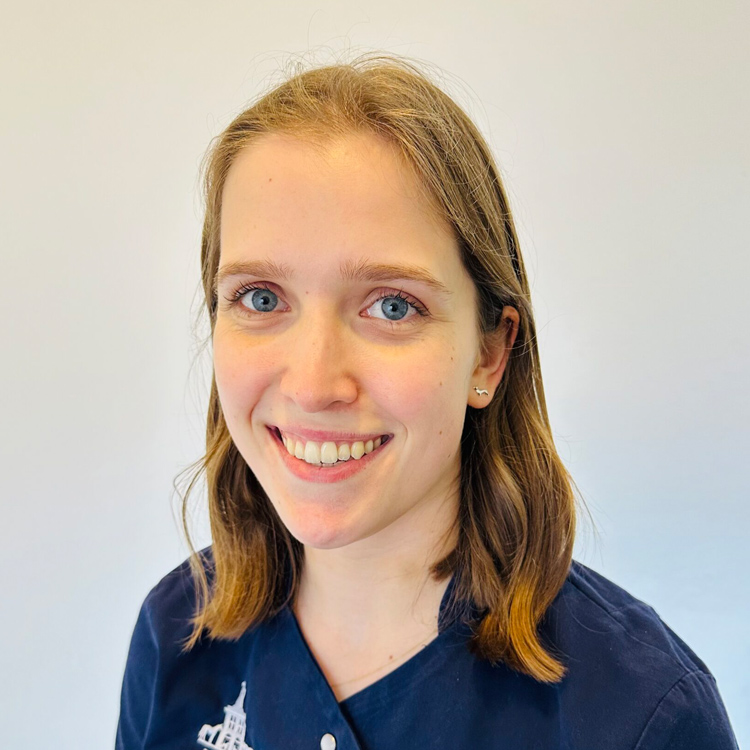 Vets, Surgeons and Nurses, Reigate and Redhill, Surrey