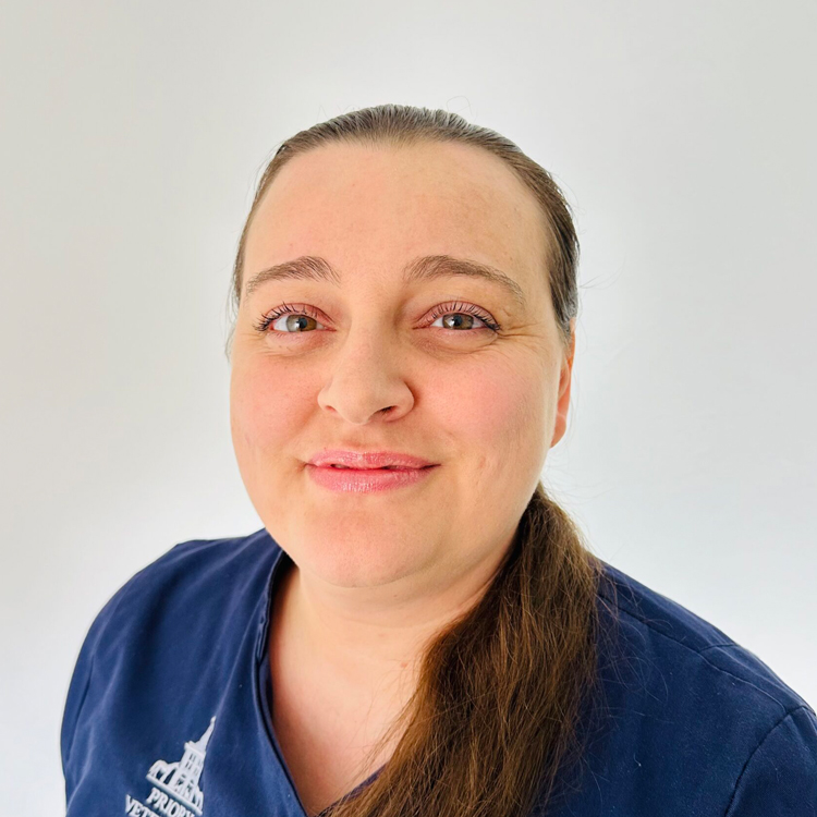 Vets, Surgeons and Nurses, Reigate and Redhill, Surrey