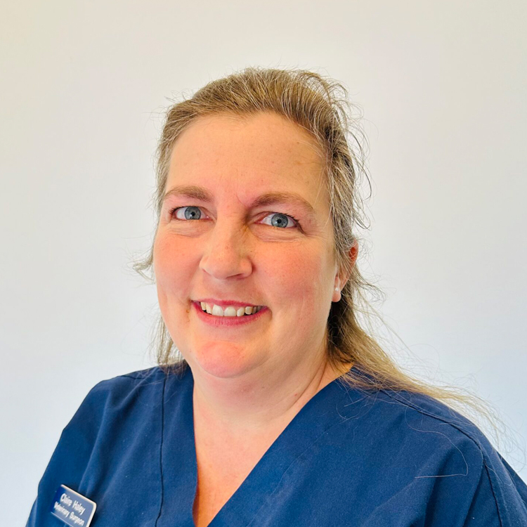 Vets, Surgeons and Nurses, Reigate and Redhill, Surrey