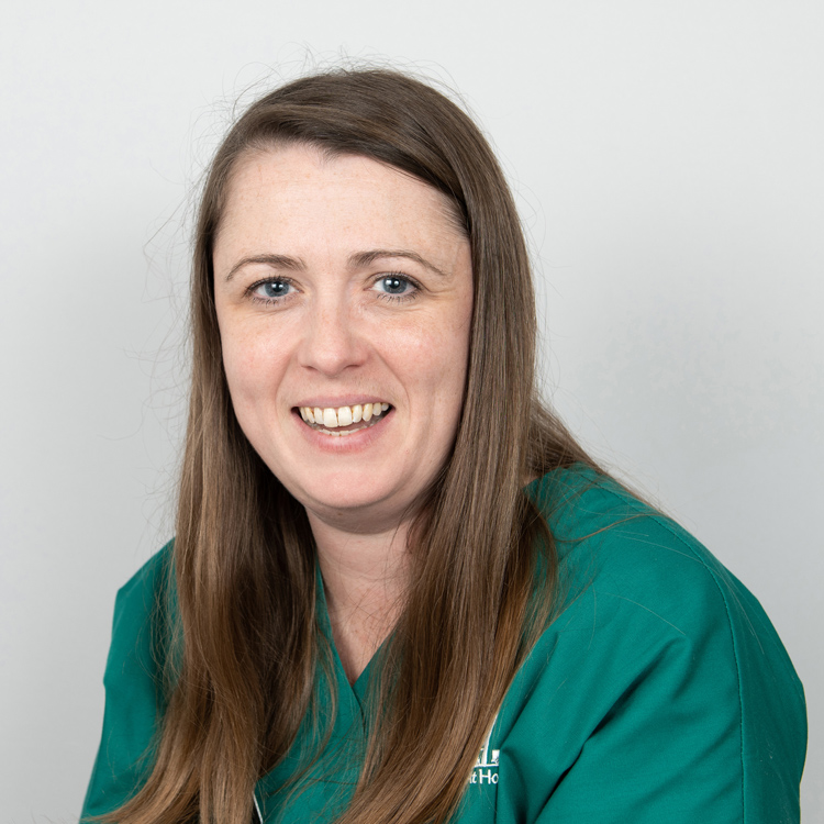 Vets, Surgeons and Nurses, Reigate and Redhill, Surrey