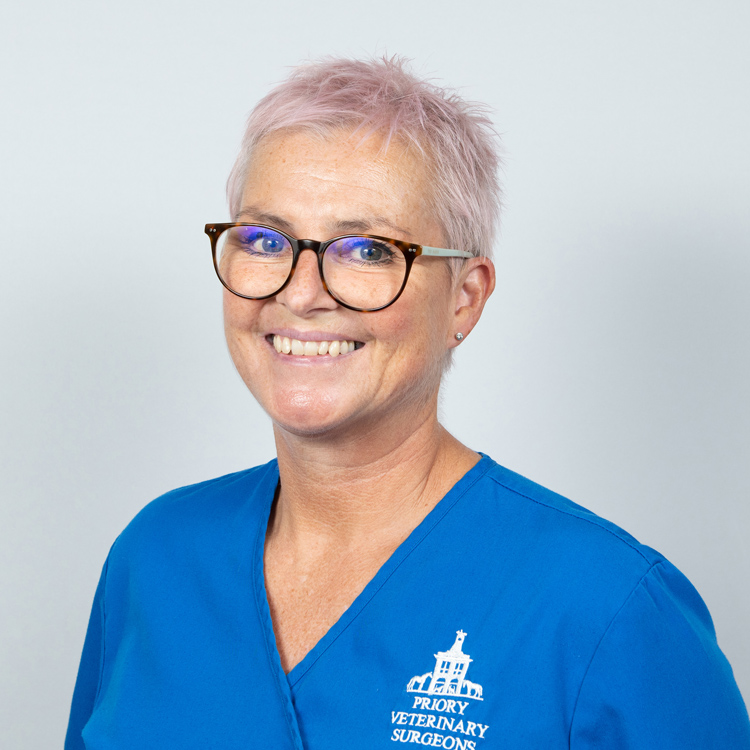 Vets, Surgeons and Nurses, Reigate and Redhill, Surrey