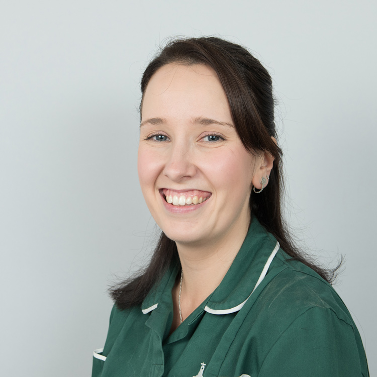 Vets, Surgeons and Nurses, Reigate and Redhill, Surrey