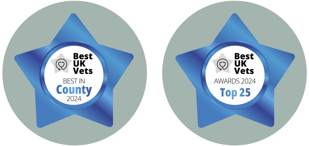 Contact Us - Priory Veterinary Surgeons