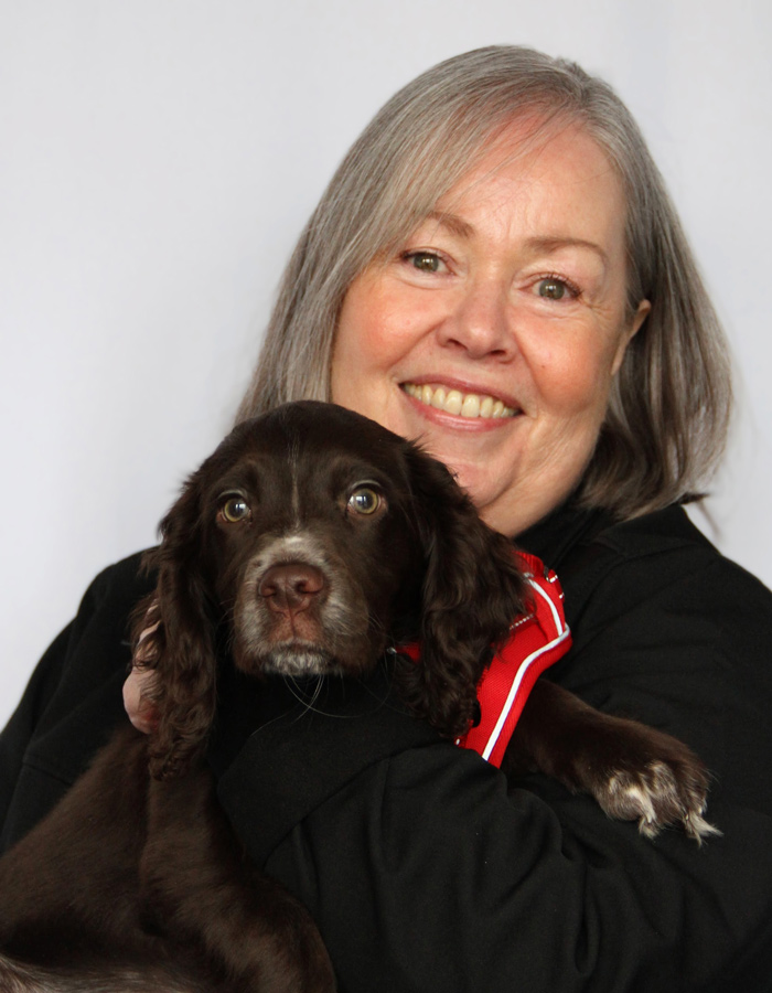 Vets, Surgeons and Nurses, Reigate and Redhill, Surrey